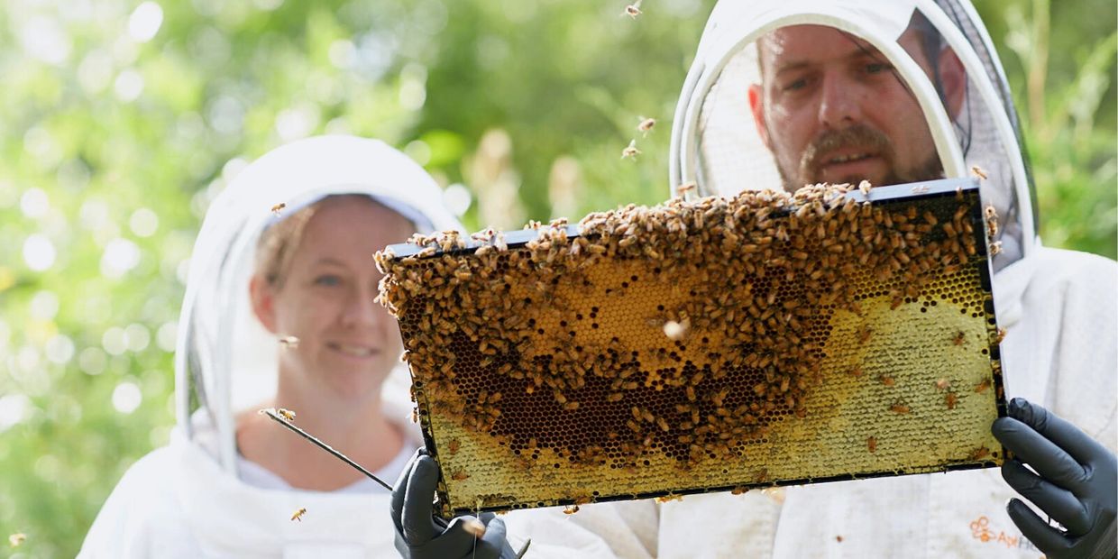 Our Story | Toronto Bee Rescue